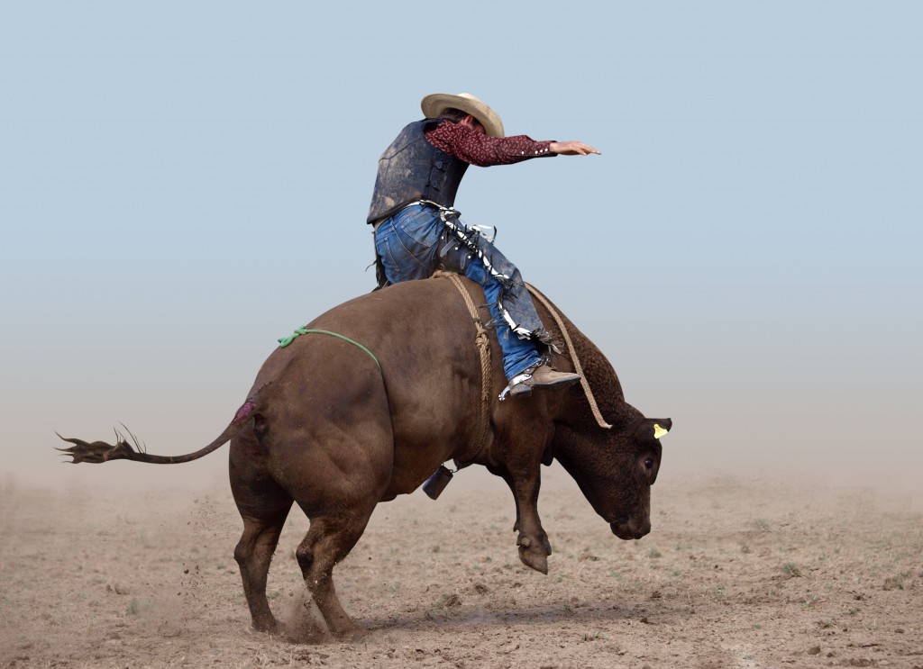 Cowboy Sports: Equipment You Need for Bull Riding - Essential Gear for ...